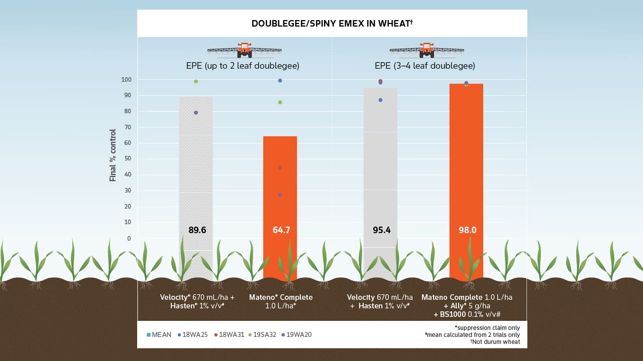 Mateno Complete Trial Results | Bayer Crop Science Australia