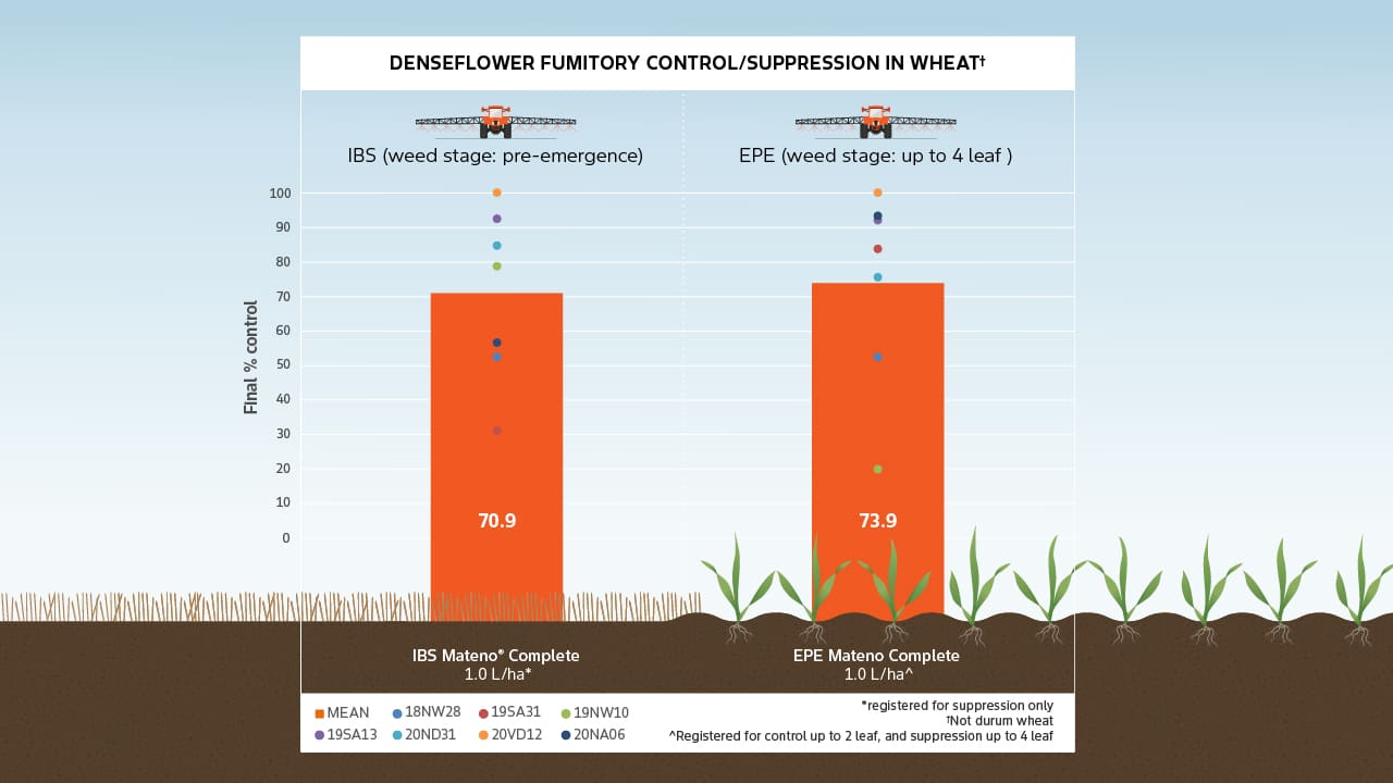 Mateno Complete Trial Results | Bayer Crop Science Australia