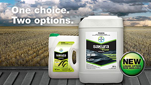 Sakura Flow delivers ryegrass control | News and Insights | Bayer Crop ...