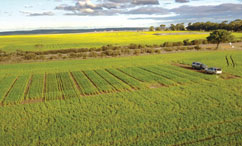 Bayer Crop Science Australia | Crop Protection and Seeds