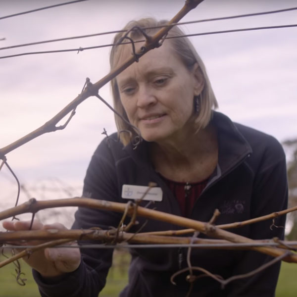 Serenade Opti | News | Bayer CropScience