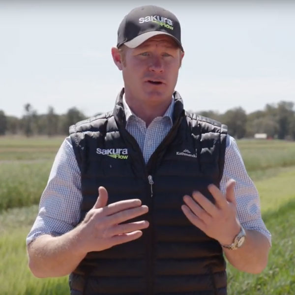 Sakura Flow brings choice & flexibility | News | Bayer Crop Science