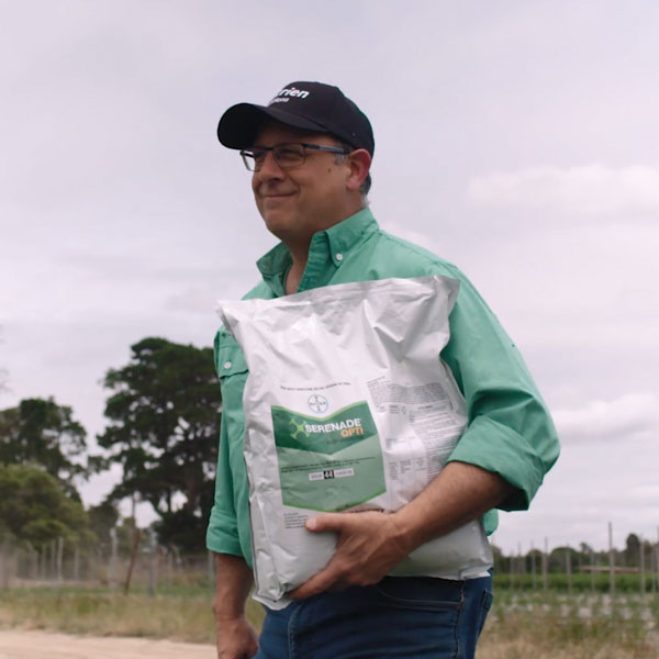 Serenade Opti biological fungicide has been a great addition for ...