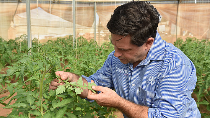 SIVANTO Prime Virginia Trial | News | Bayer Crop Science Australia