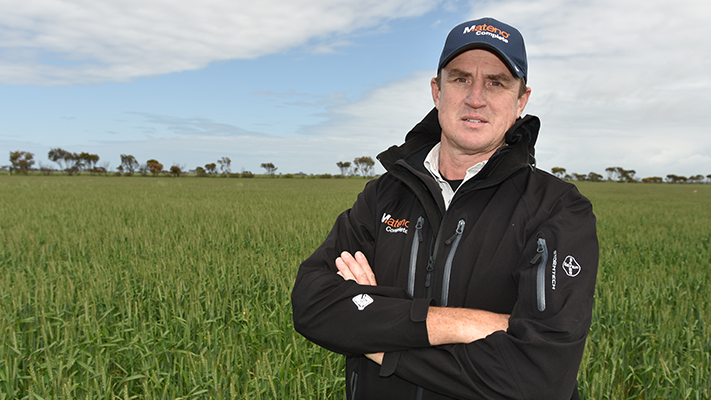 Trials show improved weed control in barley on the way