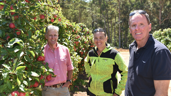 WA orchards beat weevil damage | News | Bayer Crop Science Australia