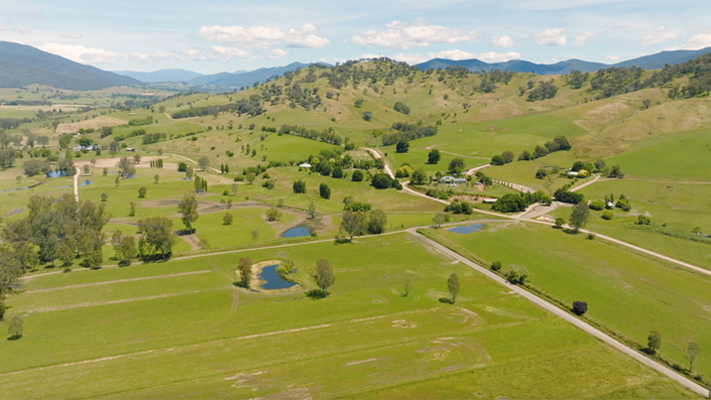 Tramat Herbicide a game changer | News | Bayer Crop Science Australia