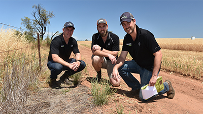 Alion® the new solution for fence line weed resistance | News | Bayer ...