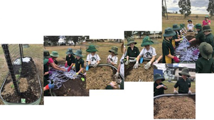 ACFGC - Jimbour State School | News | Bayer Crop Science